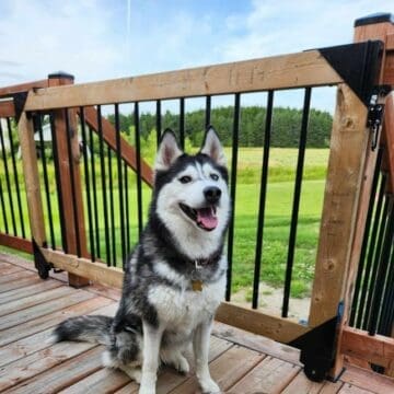 Sliding Gate Kit - Pylex